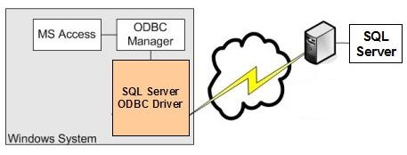 WinTech-Auftrag Basis/Premium | WinTech-EDV Online